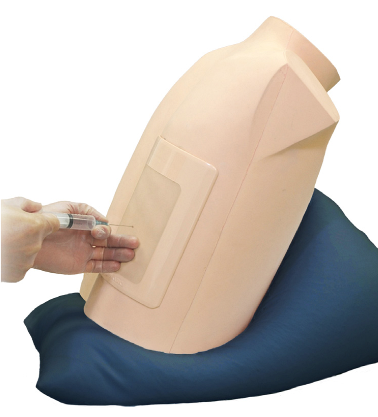 Simulateur de Thoracentèse guidé par ultrasons - MW4 - MW4A - Mice Swiss