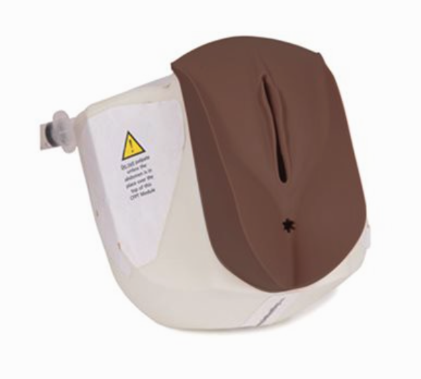 Module col de l’utérus - nullipare - pour simulateur d’examen pelvien ...